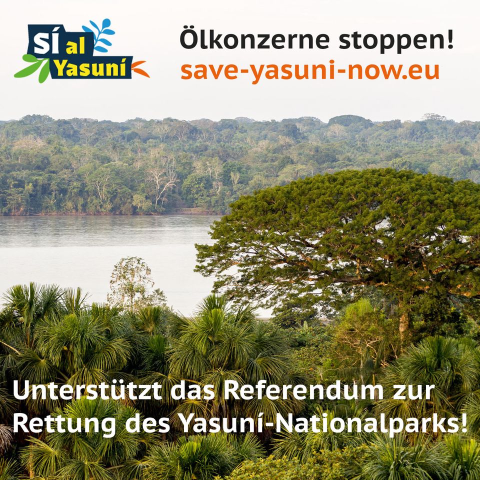 Save Yasuni Now: Startseite - Save-Yasuni-Now.eu